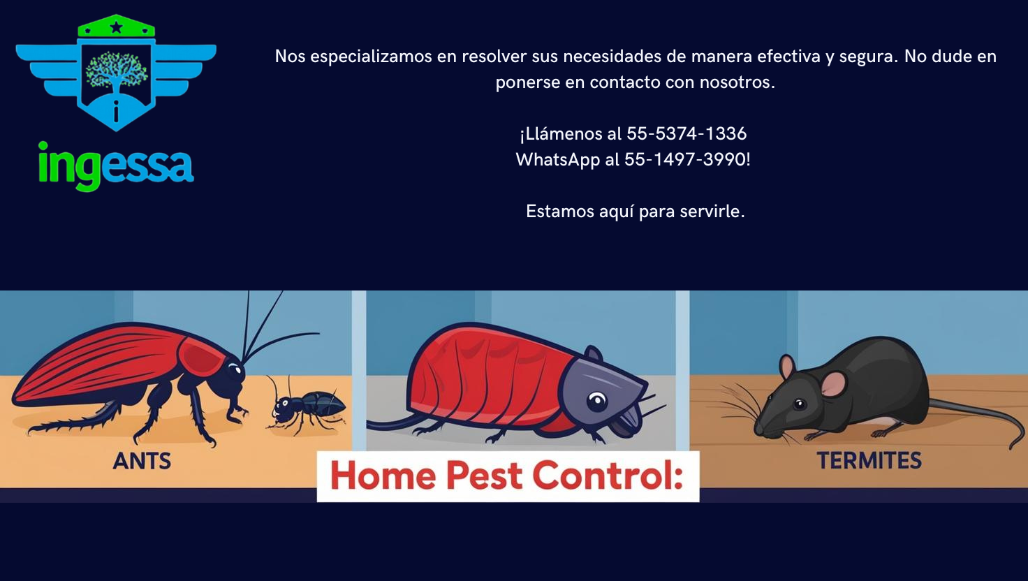 🏠 Control de plagas en casa: guía completa para eliminar cucarachas ...